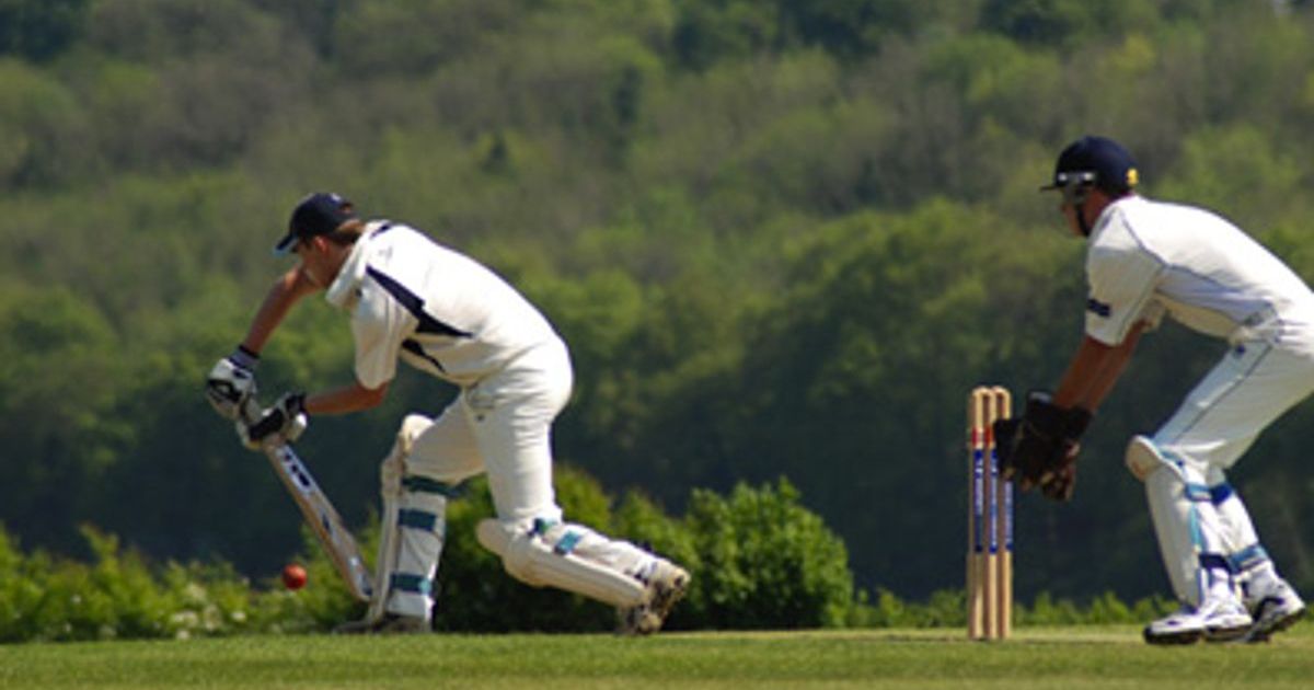 New photos added to gallery! | Hambledon Cricket Club